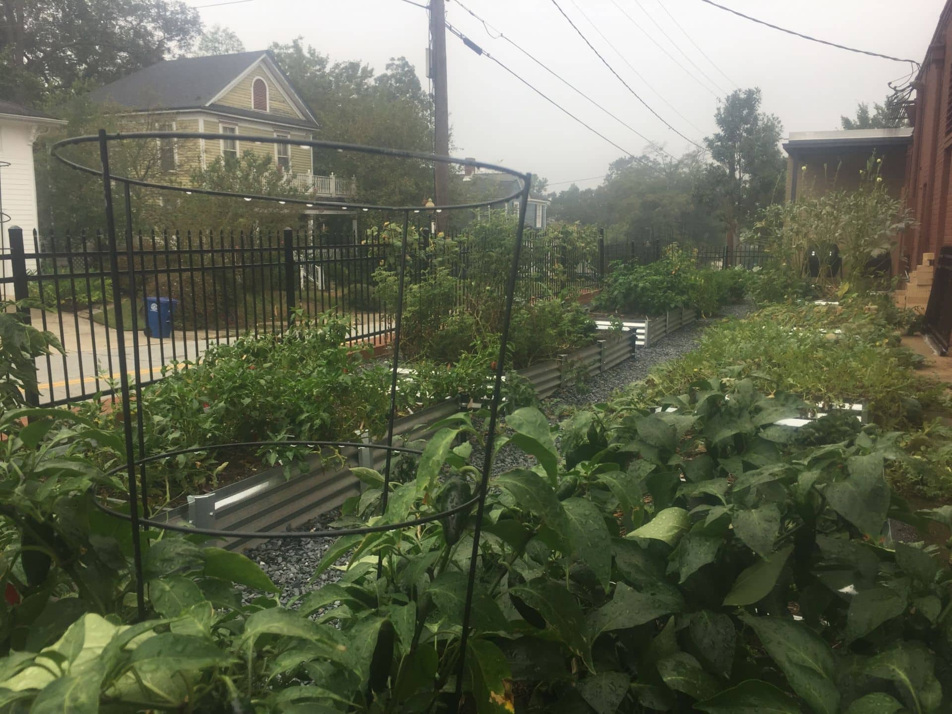 Welcome to the MDS Campus Garden - Mount de Sales Academy
